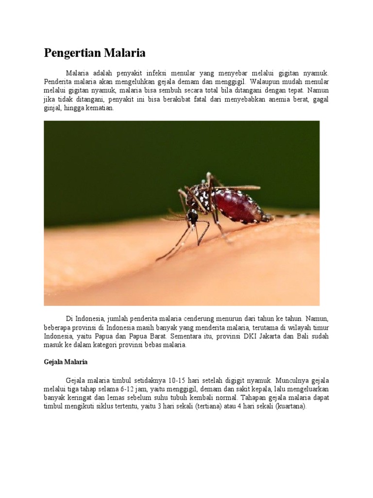 Panduan Lengkap Malaria | PDF | Sains & Matematika