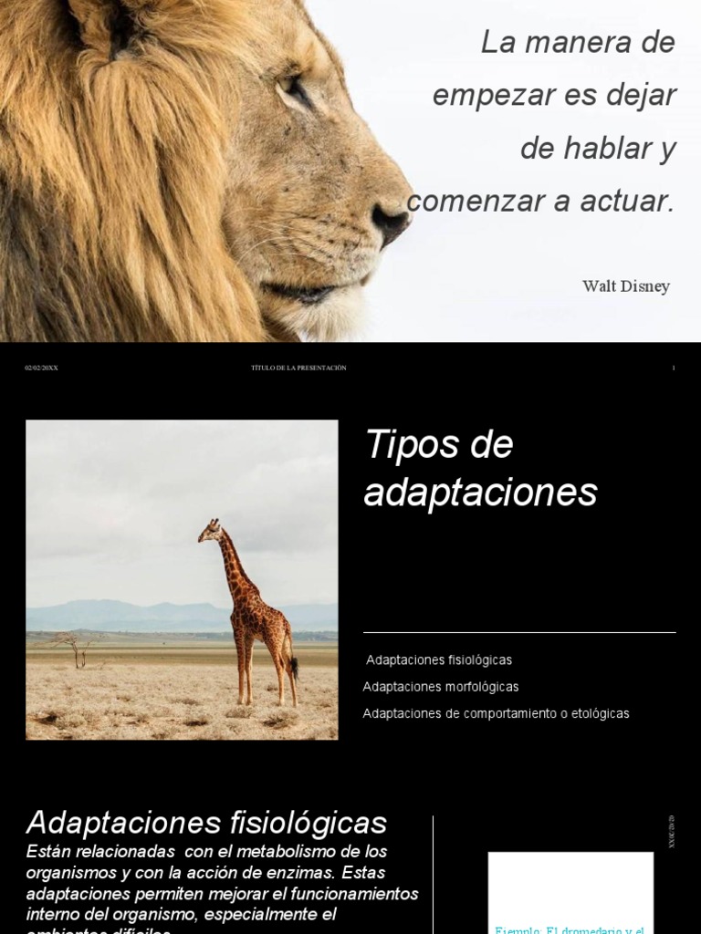 TIPOS DE ADAPTACIONES (BIOLOGÍA) | PDF | Evolución | Adaptación