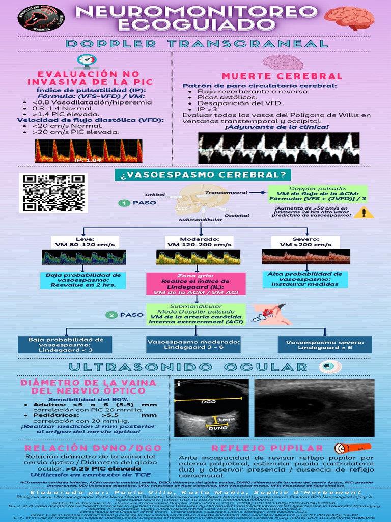 Infografia NEUROMONITOREO ECOGUIADO CORREGIDO | PDF | Órgano (anatomía) | Sistema cardiovascular
