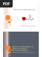 Circulação Colateral: Mecanismos, Importância Clínica e Implicações no ...
