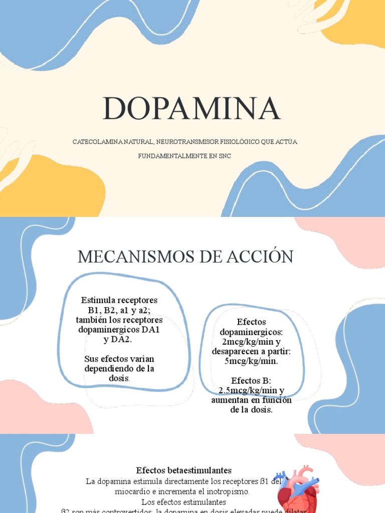 DOPAMINA | PDF | Dopamina | Fisiología