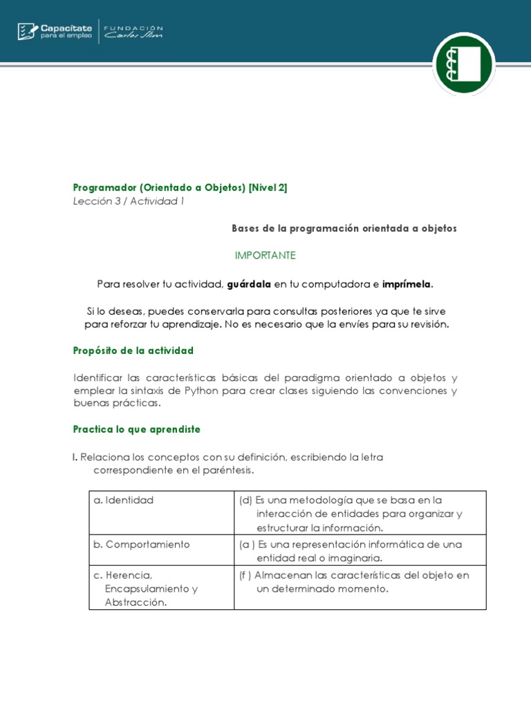 Actividad: Programador (Orientado A Objetos) (Nivel 2) | PDF | Objeto (informática ...