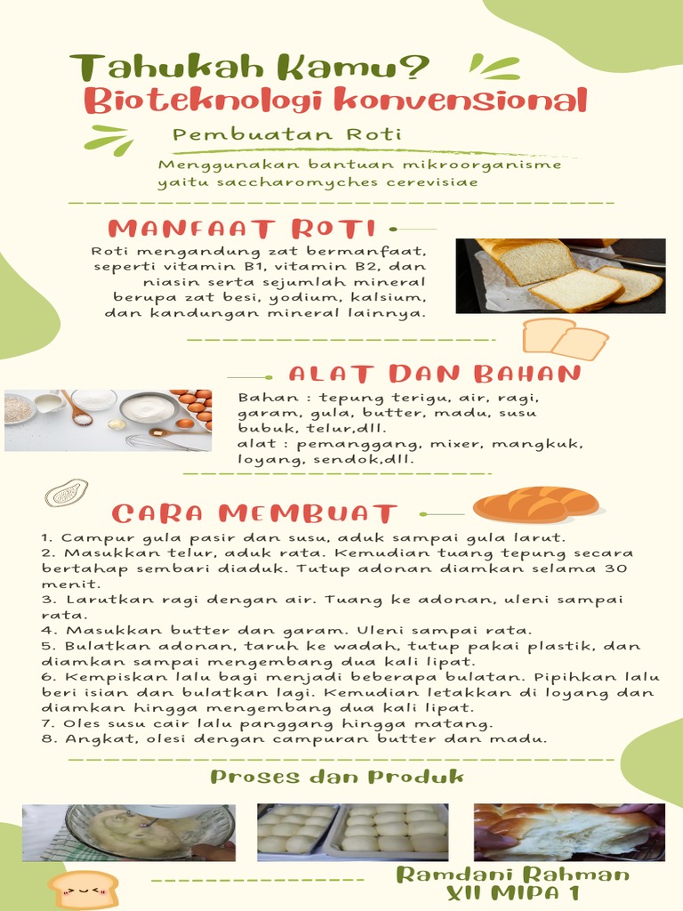 Infografis Bioteknologi Roti | PDF