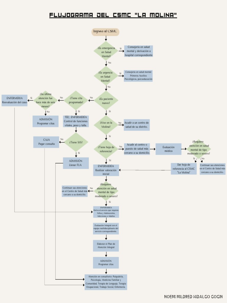Noemi Hidalgo - Flujograma CSMC LA MOLINA | PDF | Salud mental | Hospital