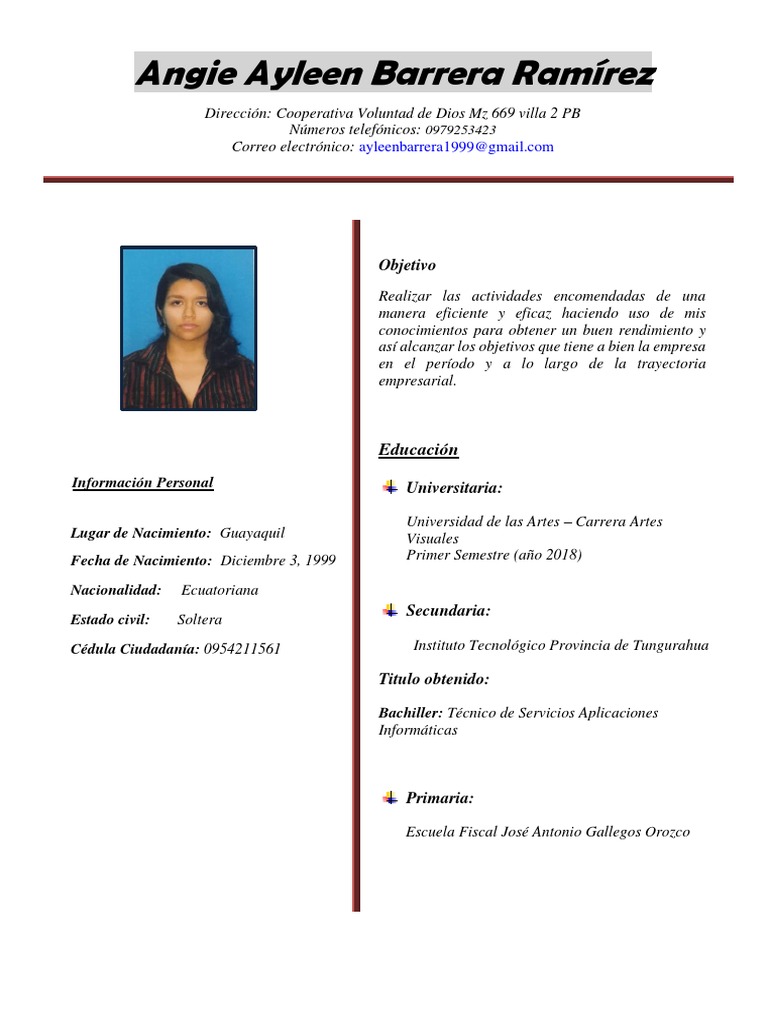 Perfil Profesional de Angie Ayleen Ramírez | PDF