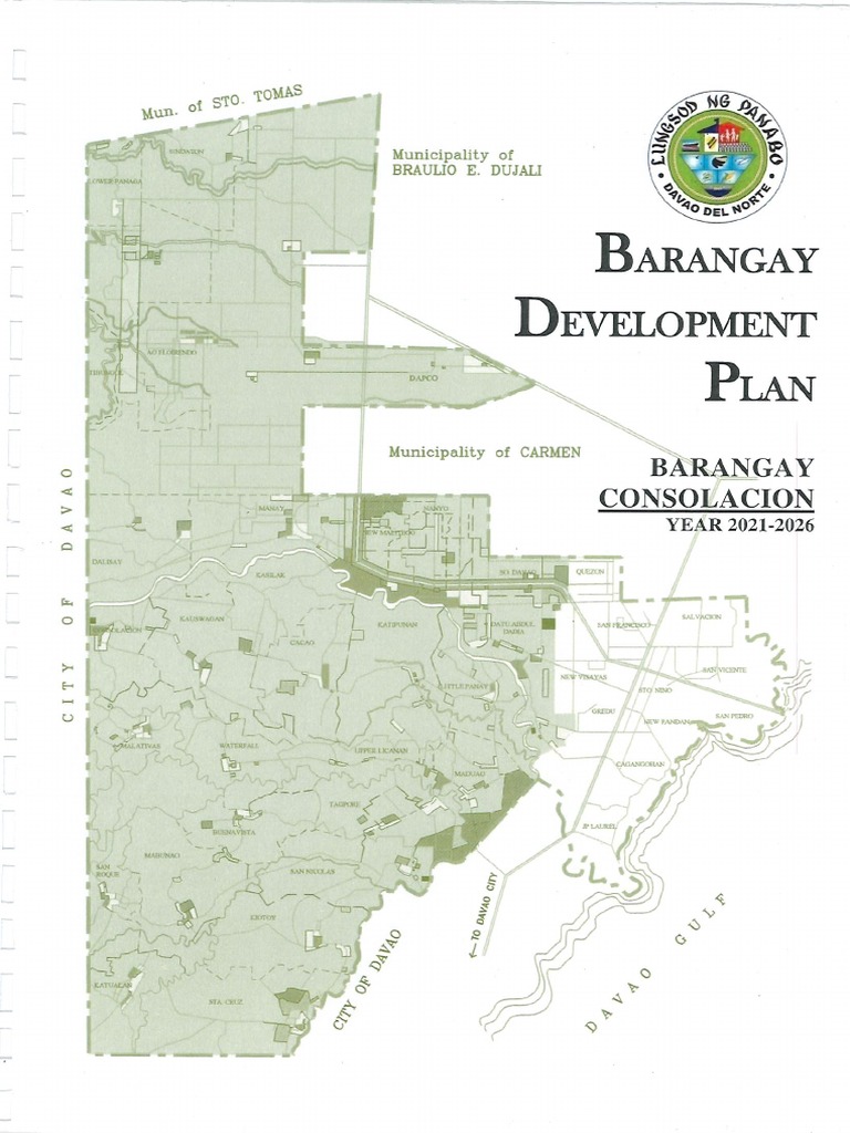 Barangay Development Plan of BarangayConsolacion, Panabo City | PDF