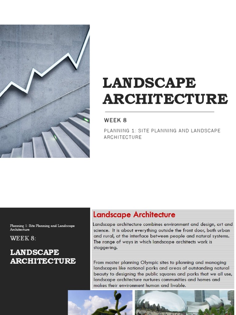 Week 8 - Presentation | PDF