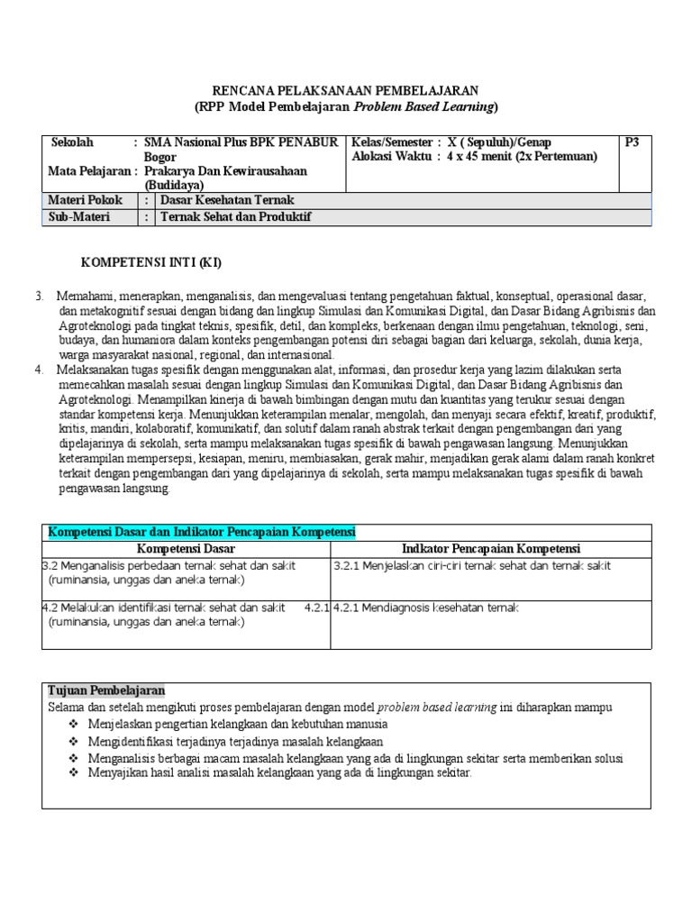 RPP CONTOH PPG | PDF