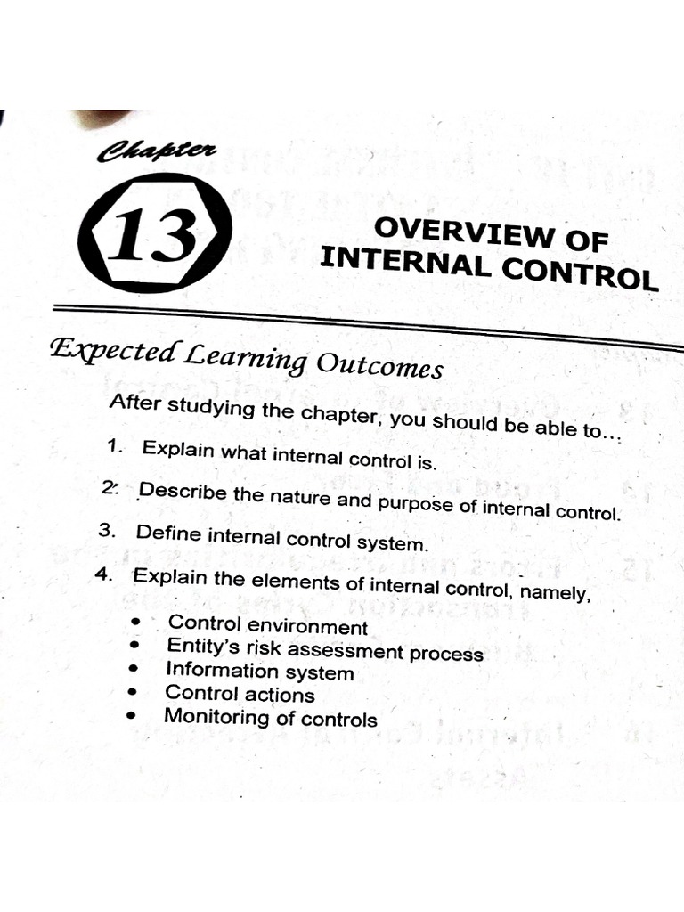 Chapter13-OverviewofInternalControl | PDF