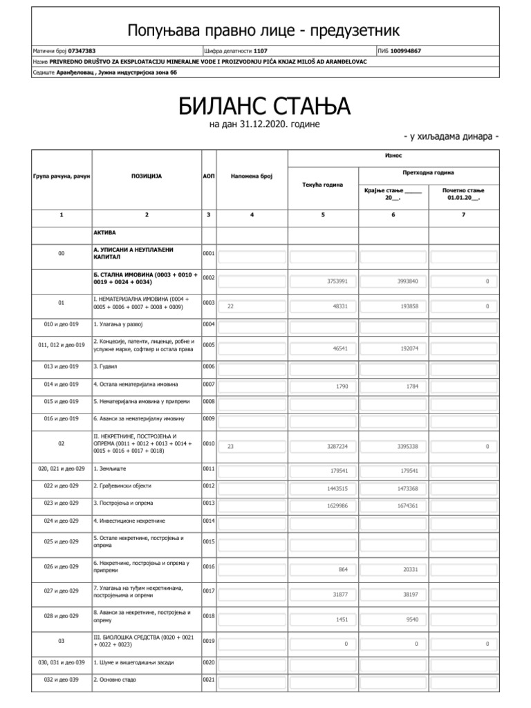 Bilans Stanja 2020 | PDF