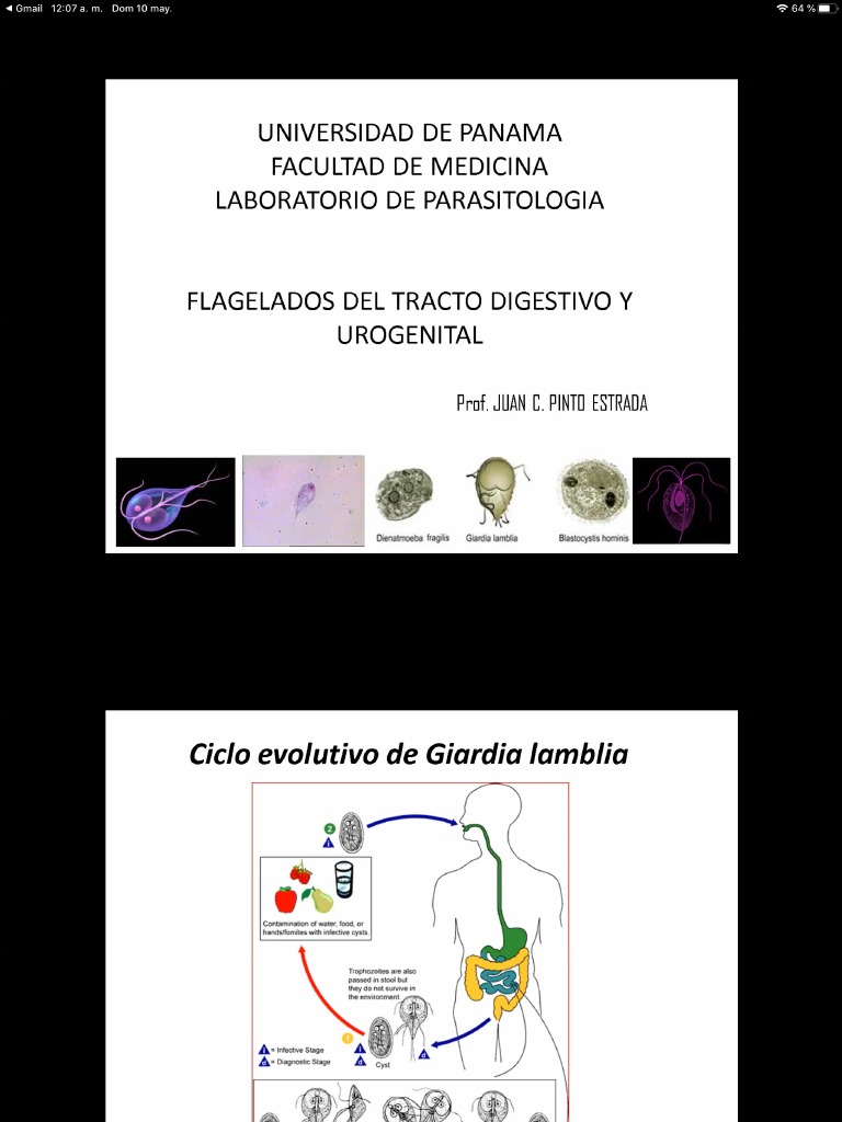 Clase de Lab Flagelados | PDF