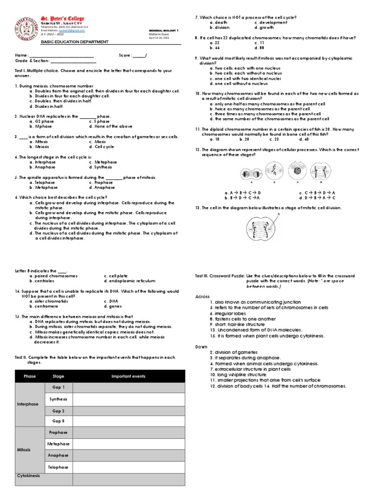 Gen Bio 1 | PDF | Mitosis | Meiosis
