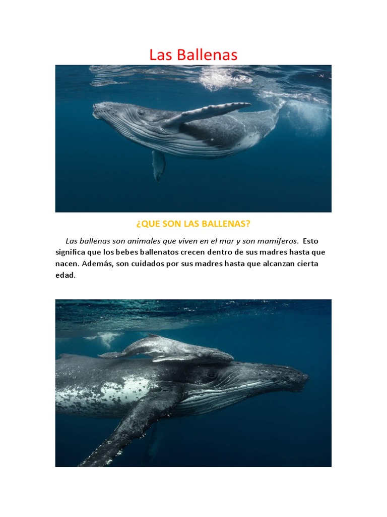 Las Ballenas | PDF