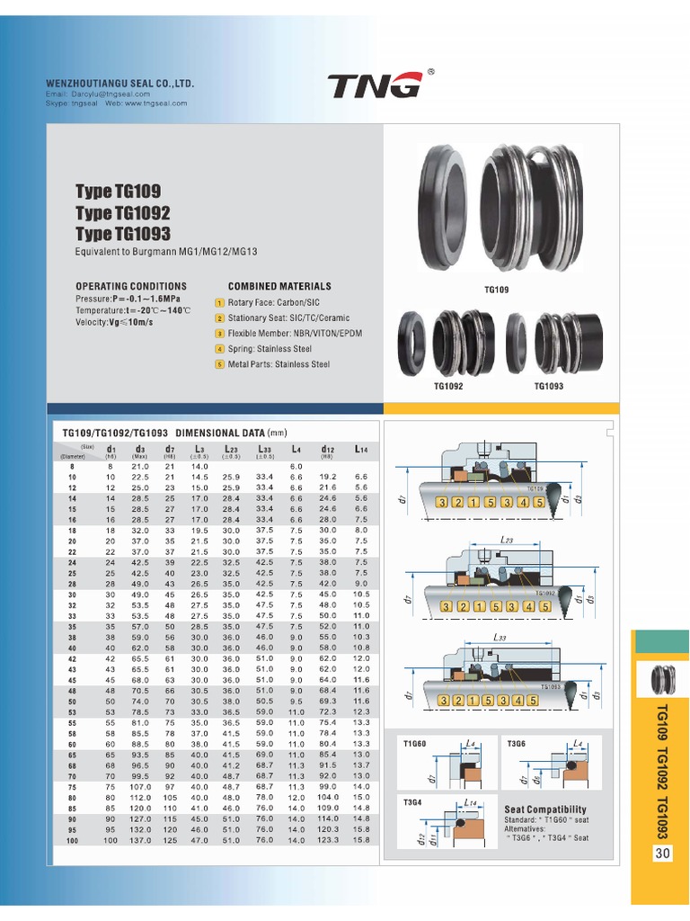 TNG Mechanical Seal E-Catalog - 1 | PDF