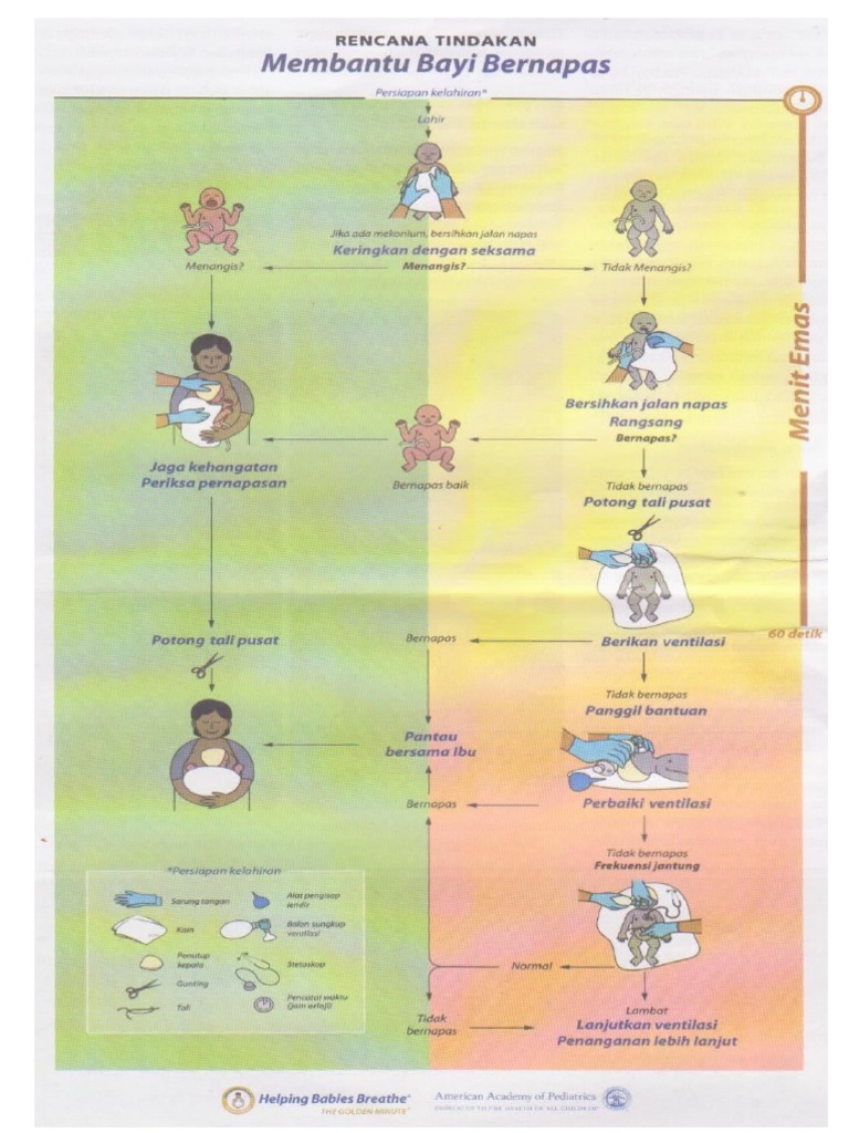 Helping Baby Breath | PDF