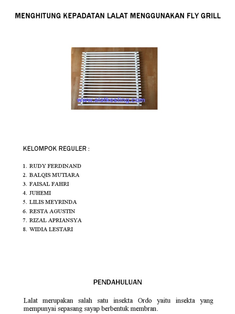 Kepadatan Lalat | PDF