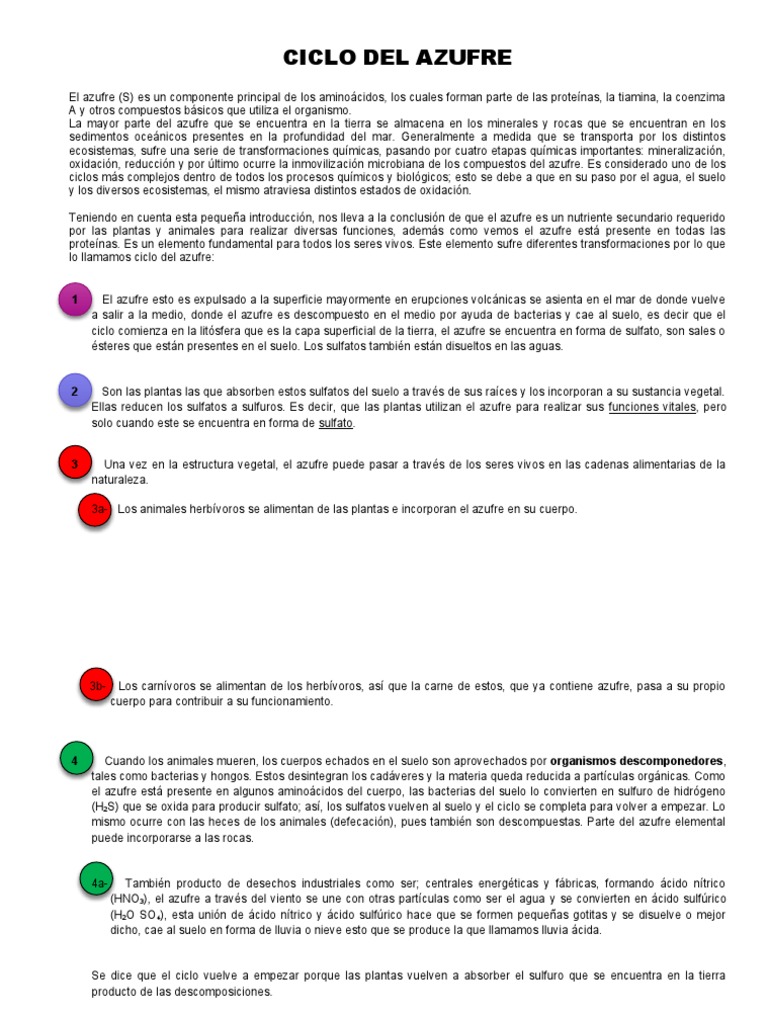 Ciclo Del Azufre 1 | PDF | Suelo | Azufre