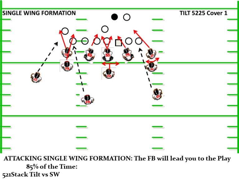 Mastering Single Wing Formation Tactics | PDF