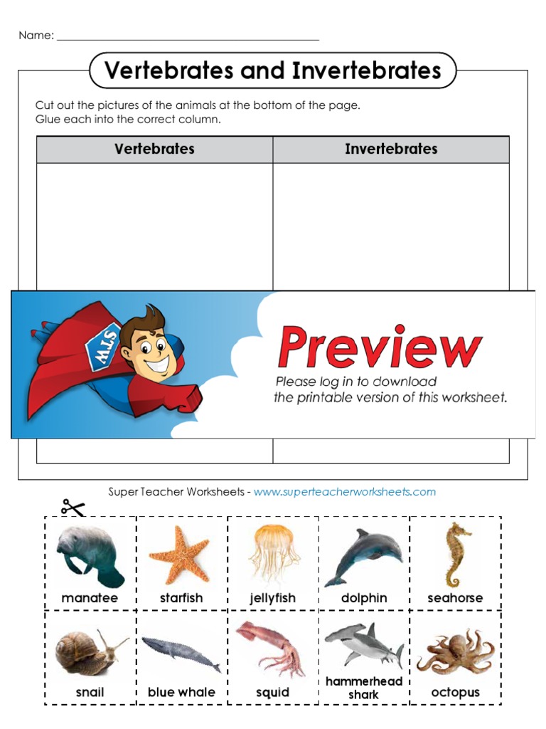 Cut Out Invertebrates Vertebrates | PDF