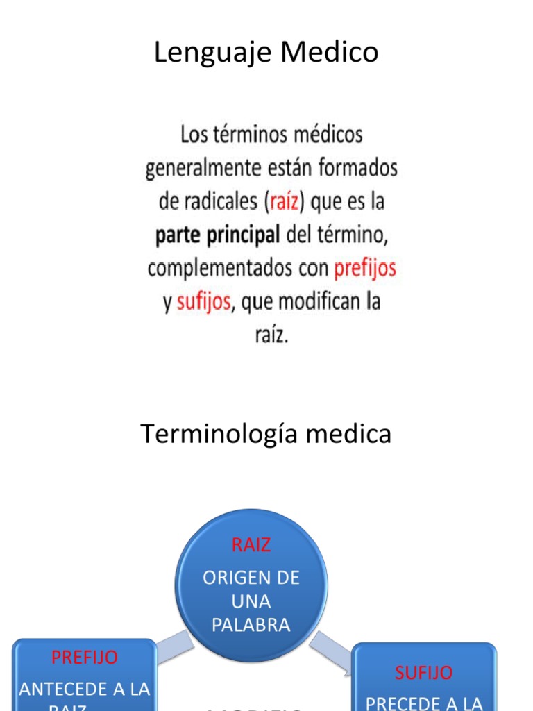 Terminos Medicos | Descargar gratis PDF | Anatomía humana | Anatomia animal