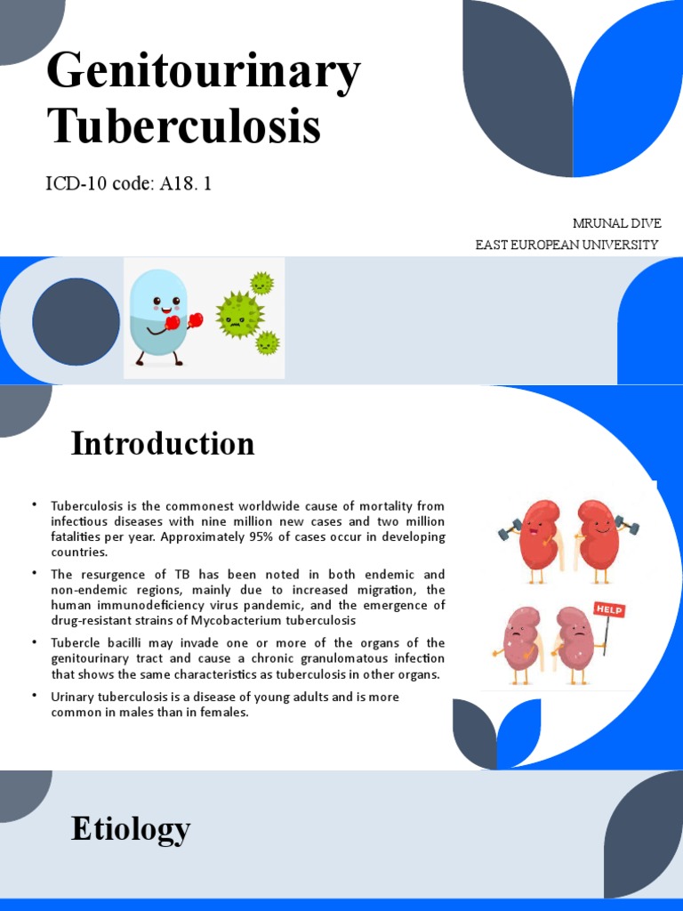 Genitourinary Tuberculosis | PDF | Tuberculosis | Kidney