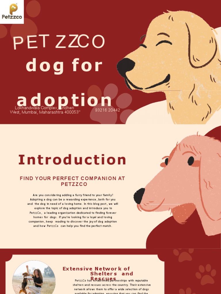 Find A Pet NGO Near You - PetzzCo | PDF | Neutering | Dogs