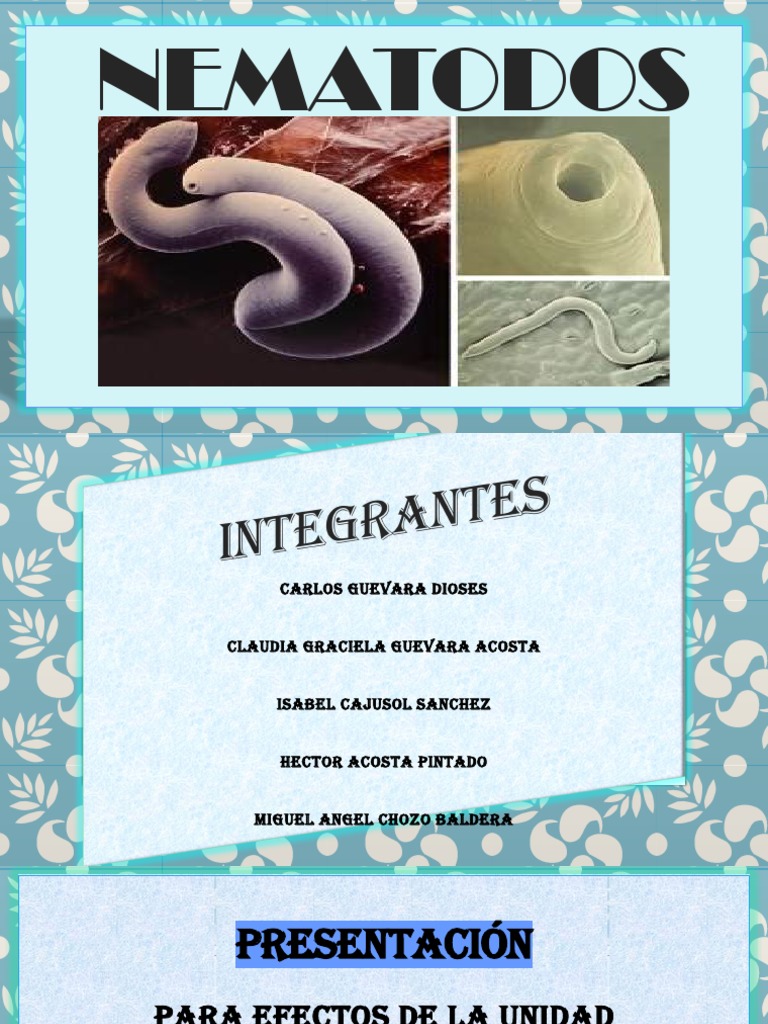 Nematodos Grupo 1 X | PDF | Nematodo | Organismos
