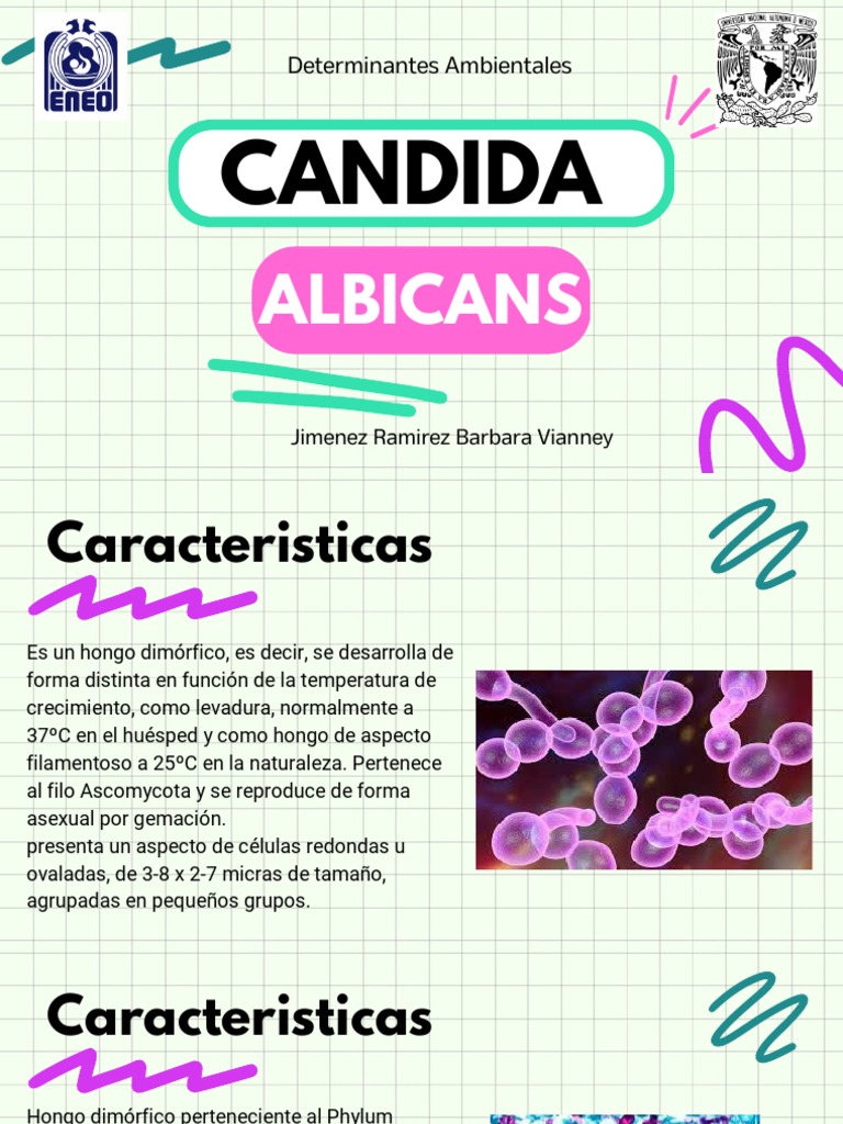 Candidiasis: Patogénesis y Tratamiento | PDF | Candidiasis | Inmunología