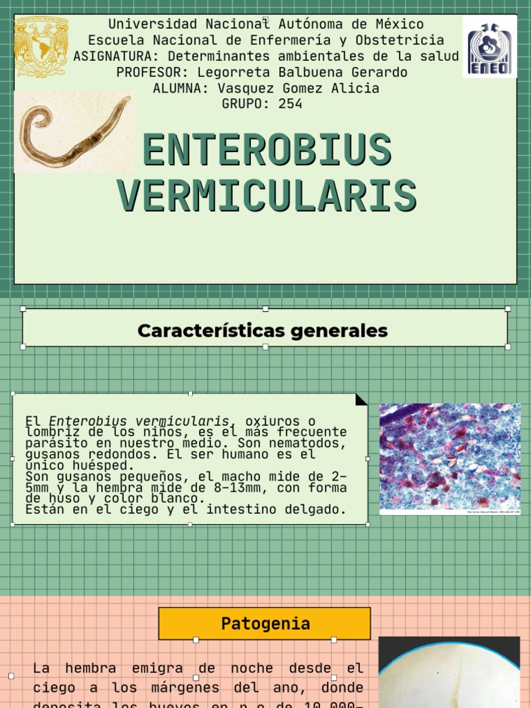 Enterobius | PDF | Especialidades Medicas | Parasitología