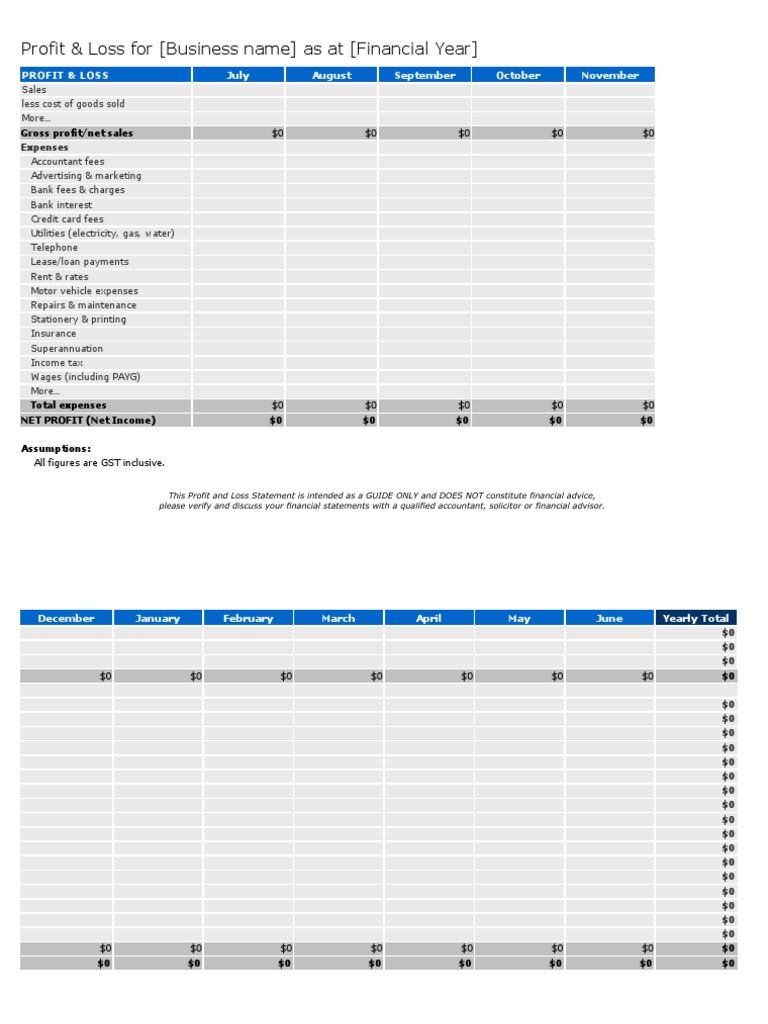 Profit and Loss Statement Template | PDF | Net Income | Income Statement
