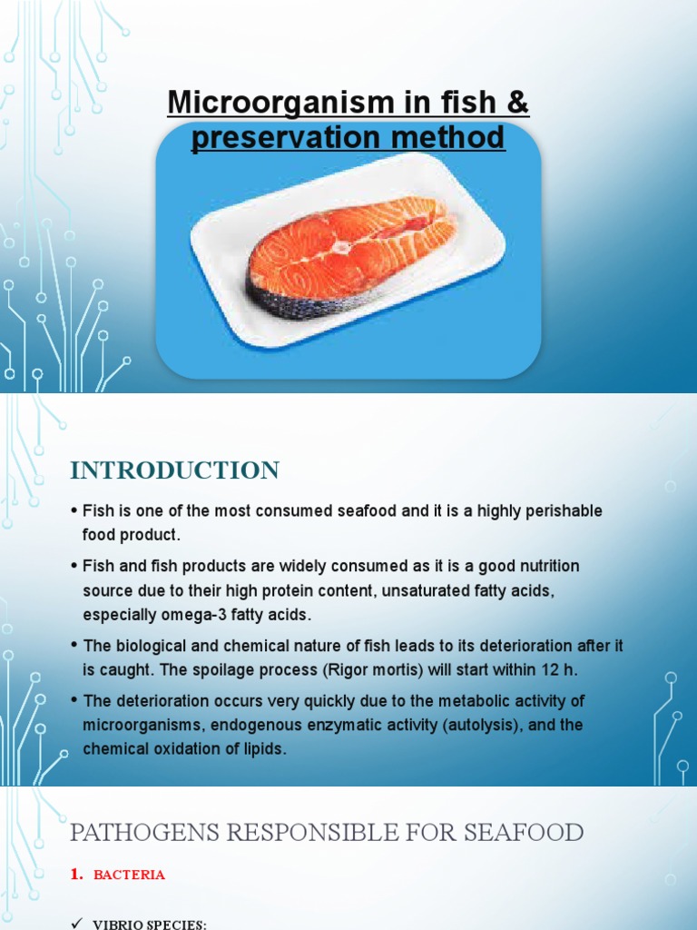 Fish Microorganism | PDF | Decomposition | Bacteria