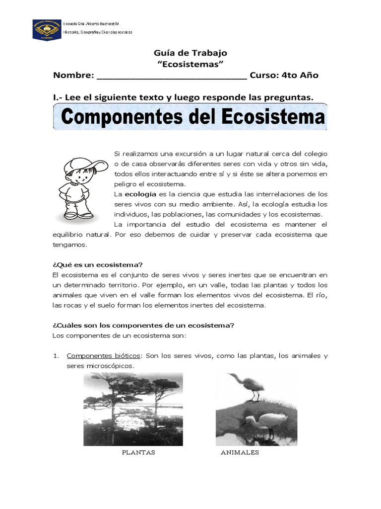 Sopa de letras | PDF | Ecosistema | Mangle