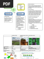 Non Conventional Farming System | PDF | Agriculture | Hydroponics