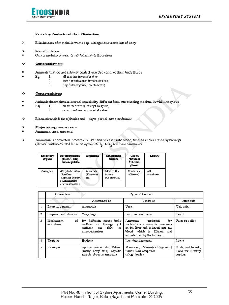 Notes - Excretory Products & Their Elimination | PDF | Kidney | Physiology