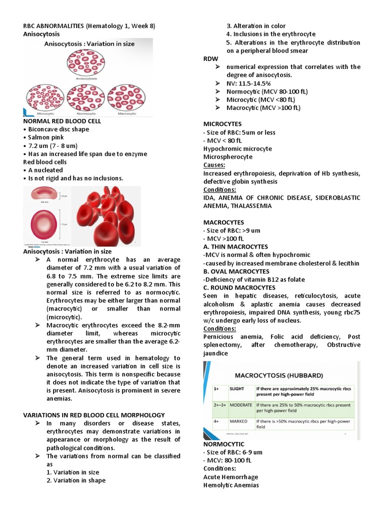 Hematology Week 8 | PDF | Anemia | Red Blood Cell