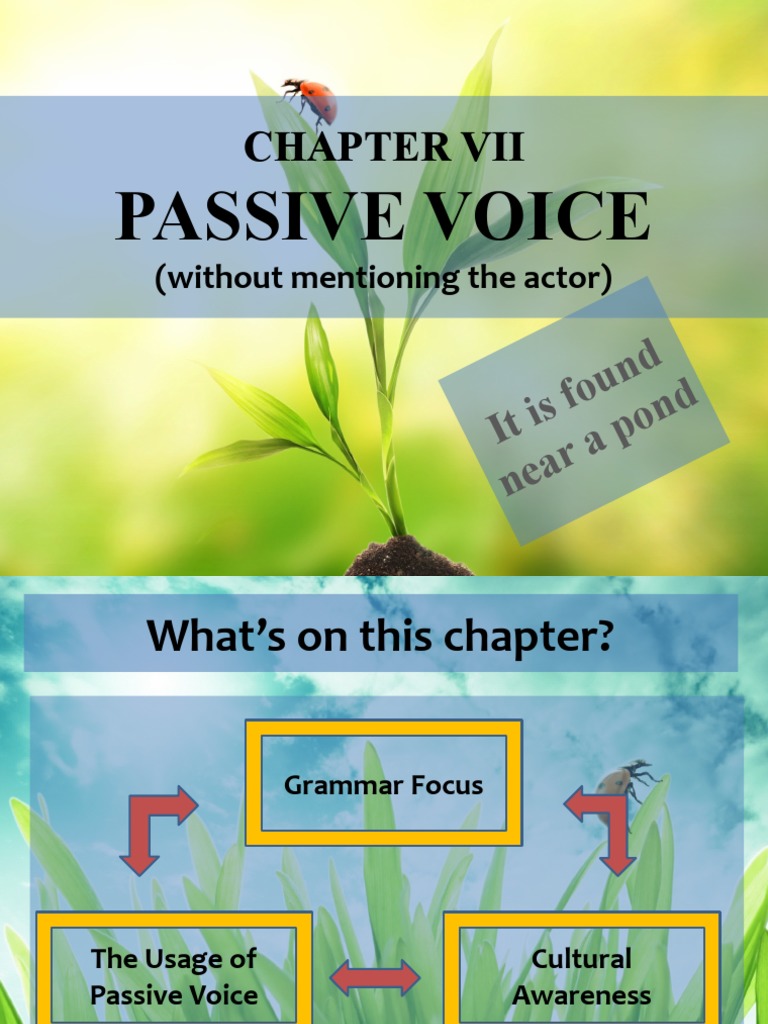 Understanding Passive Voice Usage | PDF | Ant | Pulp (Paper)