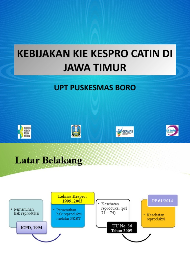 KIE Kespro Catin di Puskesmas Boro | PDF