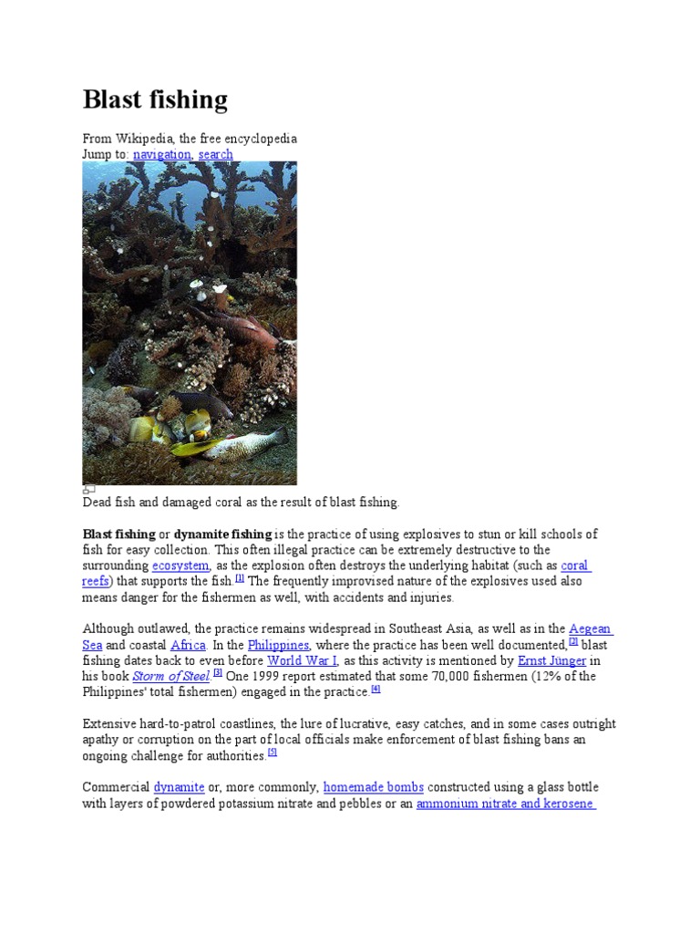 Blast Fishing | PDF | Fishery | Habitat