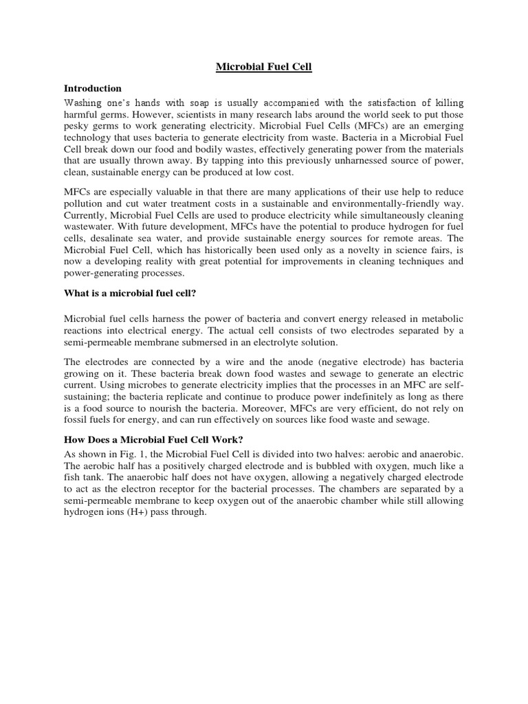 Microbial Fuel Cells: Sustainable Energy from Waste | PDF | Fuel Cell ...