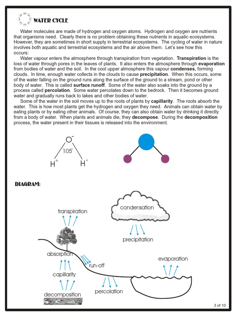 Biogeochemical - Cycles Notes 2 3 1 | PDF