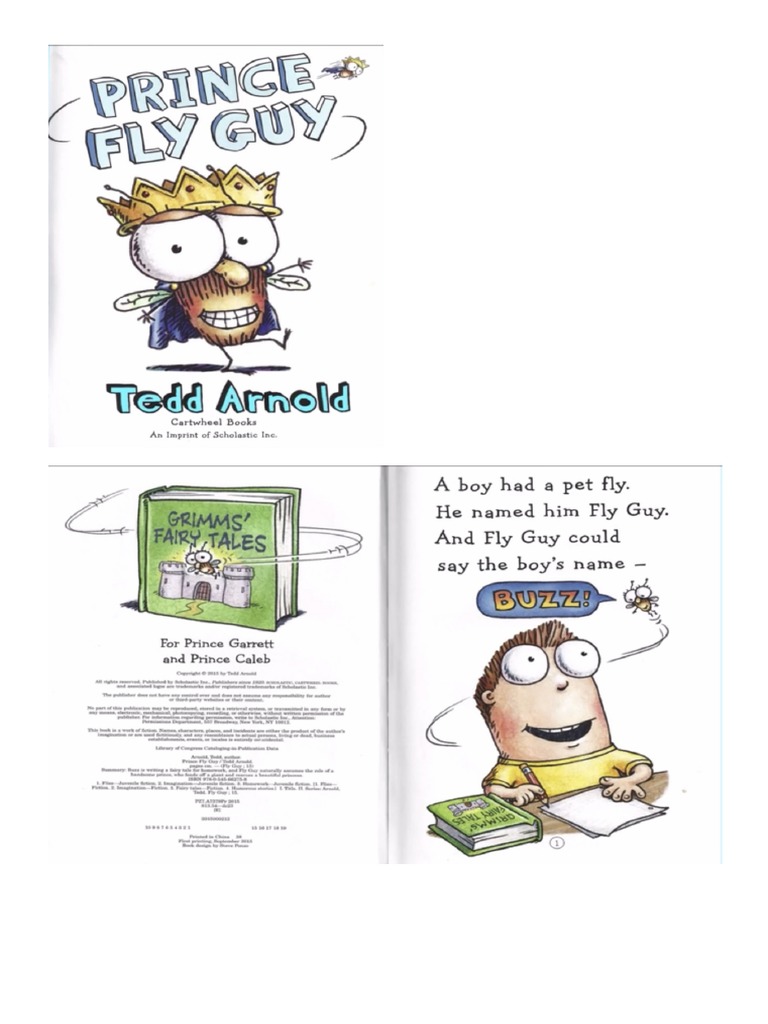 Prince Fly Guy | PDF