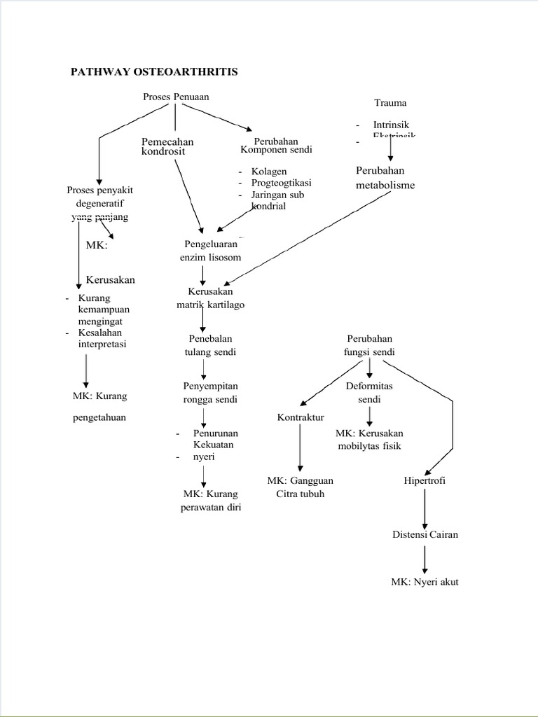 Dokumen - Tips Pathway Osteoarthritis | PDF