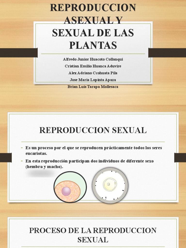 Reproduccion Asexual y Sexual de Las Plantas | PDF