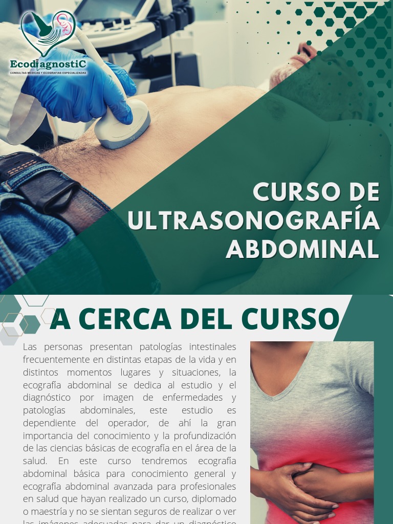 Brochure Del Curso | PDF