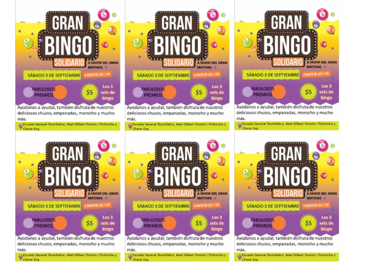 BINGO SOLIDARIO | PDF