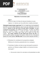 La phrase emphatique en français | PDF | Phrase | Pronom