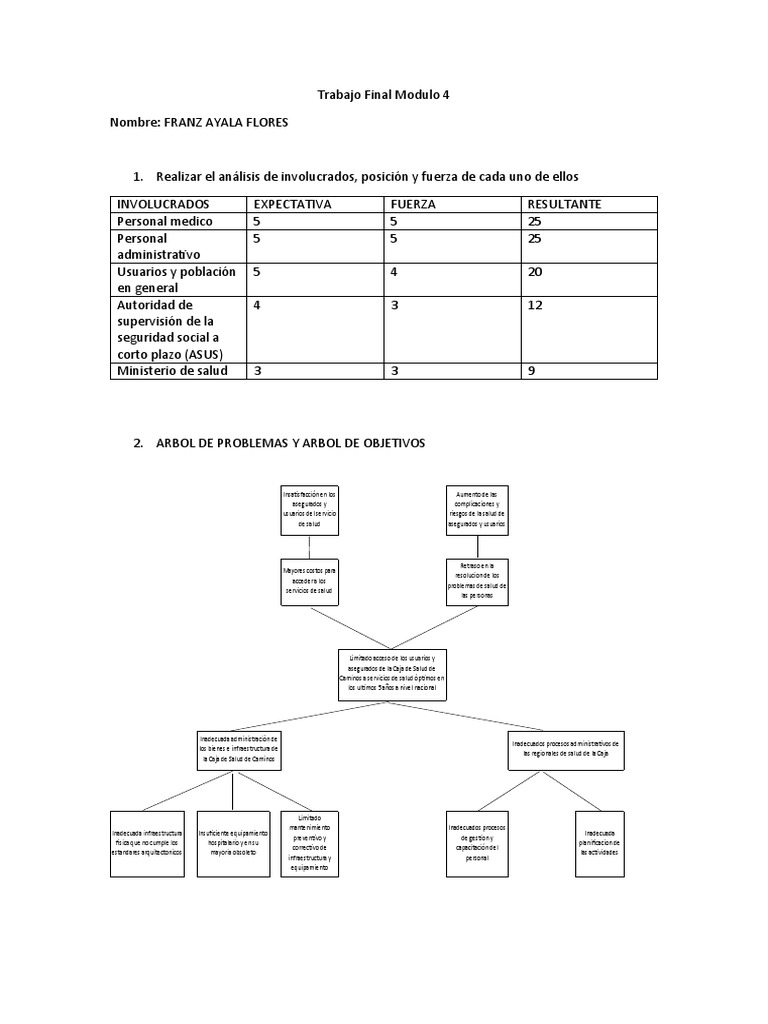 Trabajo Final Modulo 4 Pdf Infraestructura Hospital