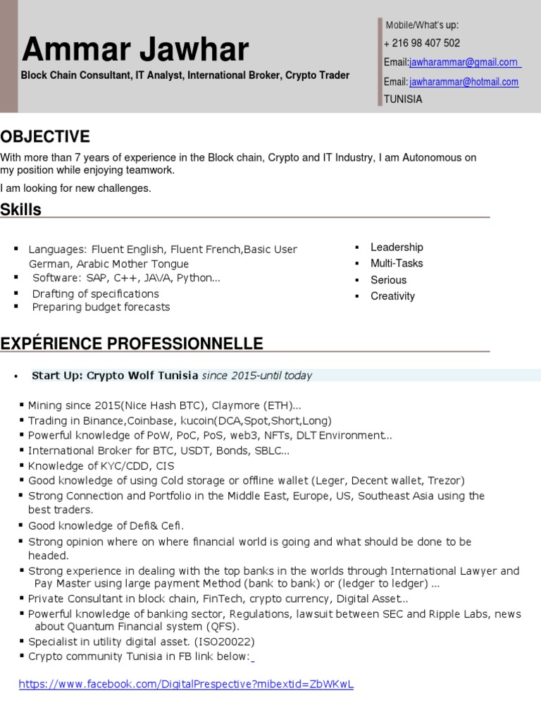 Jawhar Ammar CV | Download Free PDF | Cryptocurrency | Bitcoin