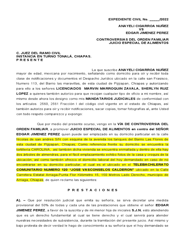 Ejemplo de Demanda de Alimentos | PDF