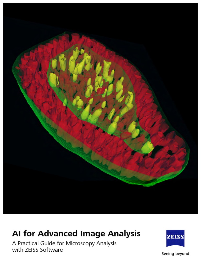 Zeiss AI Ebook | PDF | Image Segmentation | Machine Learning
